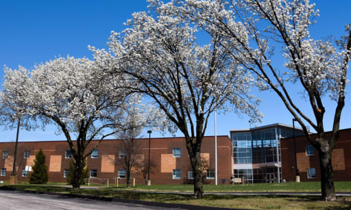 elementary school central