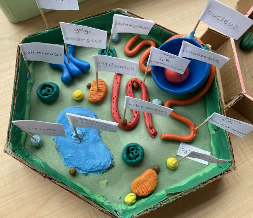 nucleus science project