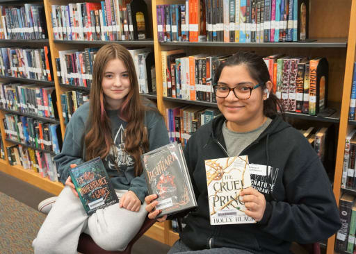 lower merion library system