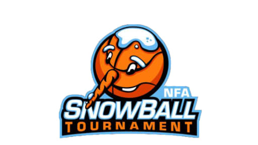 Snow Ball Logo Fallout: New Vegas Mormon Fort Snow Globe | Gaming