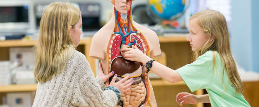 teaching scientific method to elementary students