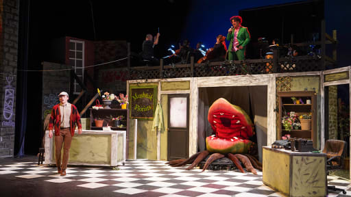 Audrey Little Shop Of Horrors Broadway
