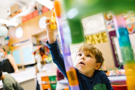 dwight school primary