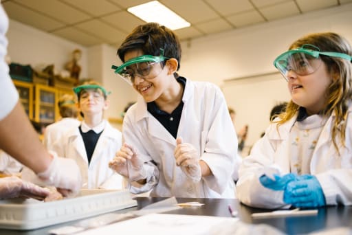 dwight school primary