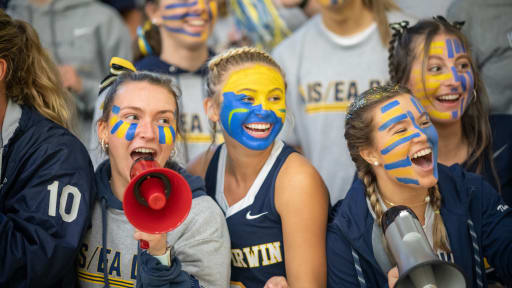 Cool School Spirit Face Paint Ideas