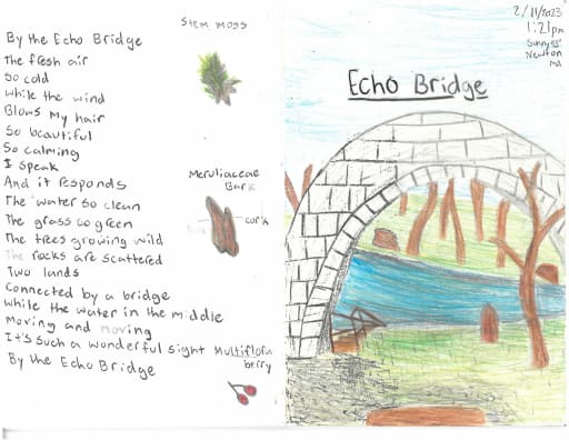 scientific drawing examples