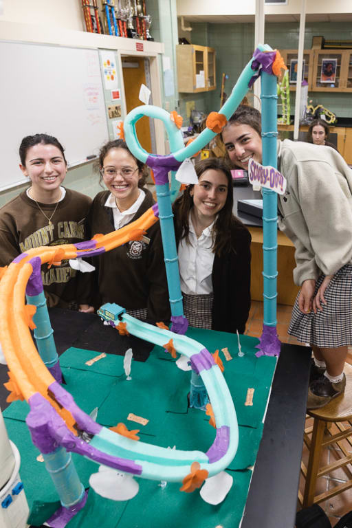 physics roller coaster