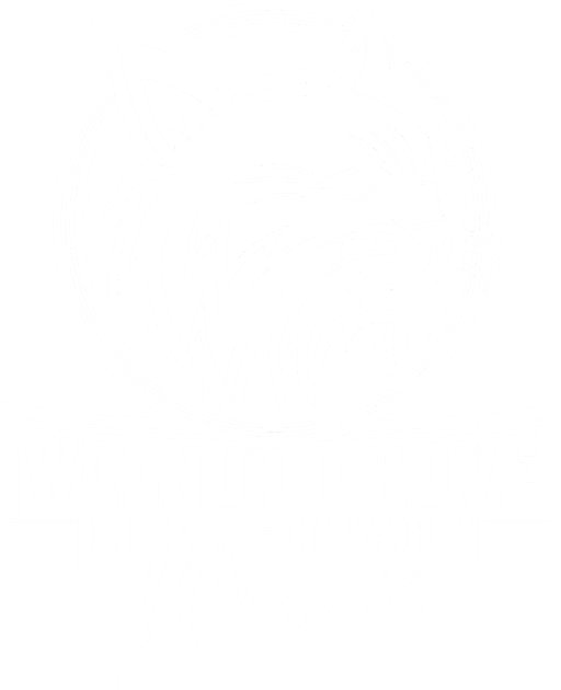 elementary wildcat