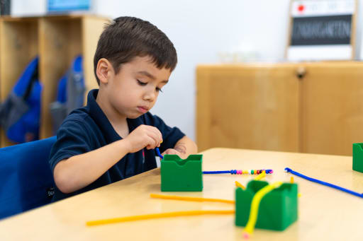 dwight school primary