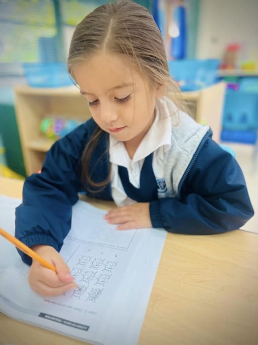 pre preparatory school