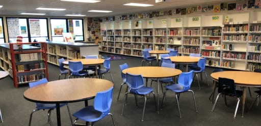 cool elementary libraries