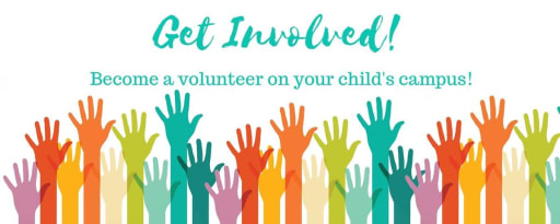 volunteer background