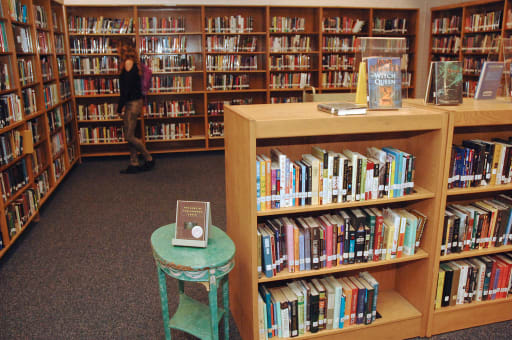 Destiny Quest School Library