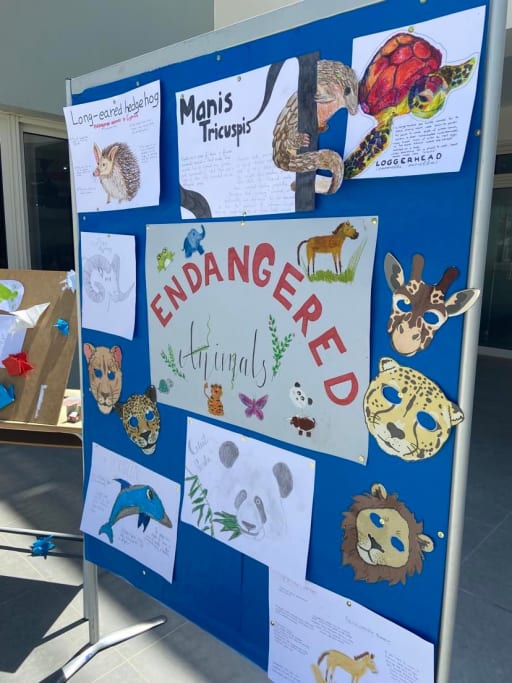 endangered animals display