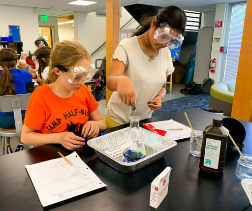 synapse school gifted