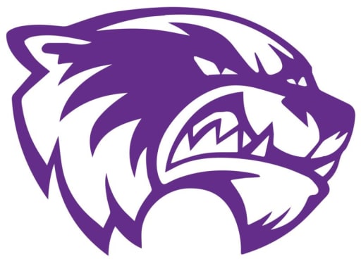 skyview wolverines logo