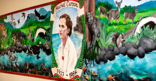 rachel carson elementary