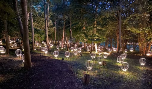 firefly installation