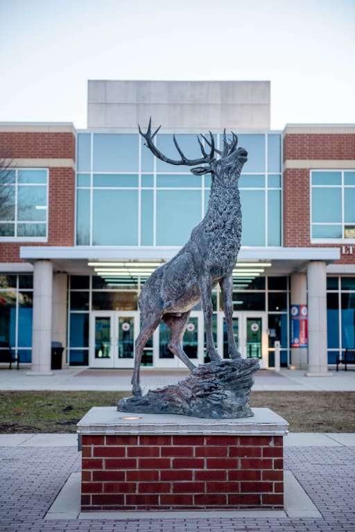 dematha high school logo