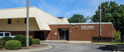 the nelson school