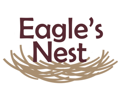 New Albany Eagles Logo Albany Attack Primary Logo National Lacrosse