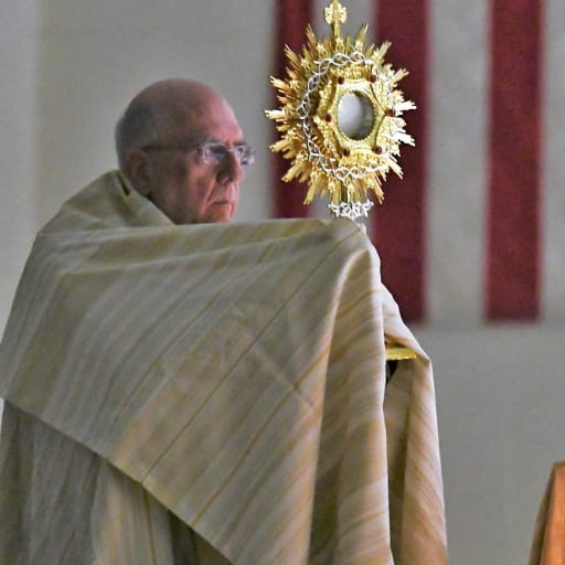 monstrance facts