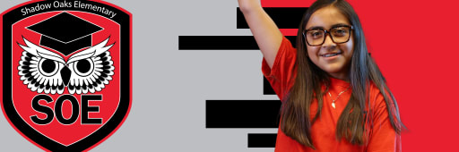 shadow elementary school