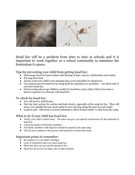 Lice Notice School