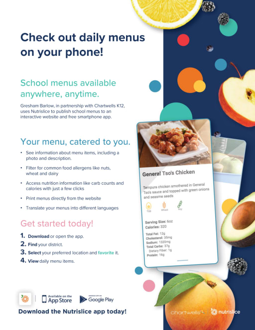 Bfast High School Menus