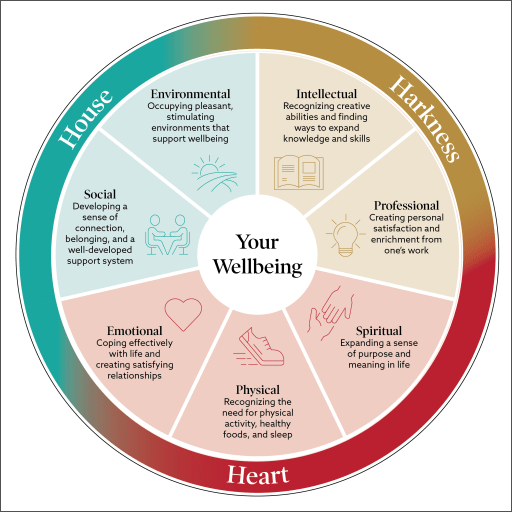 Health And Welness Wheel