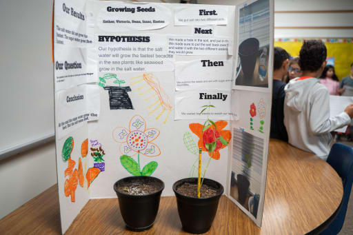 5th Grade Science Fair Boards Fabric Science Fair Project Fun!