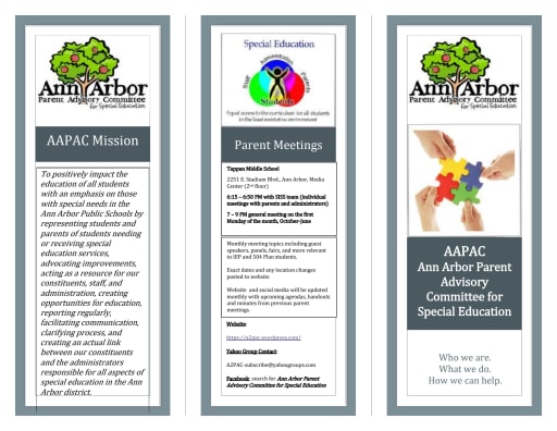 special educational statement