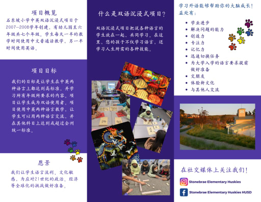 elementary brochure
