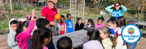 tracy primary school