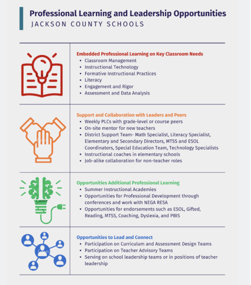 teacher professional development standards