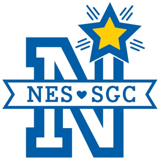 nes logo school