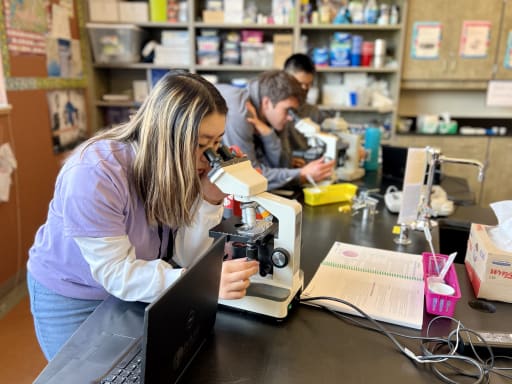 groundworker newport