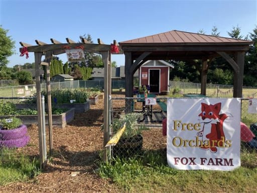 foxes farm