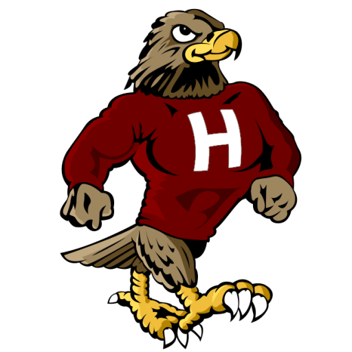 hawk logo school