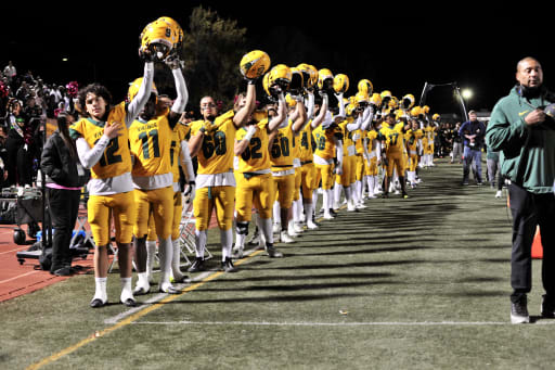 Vanden High School Logo