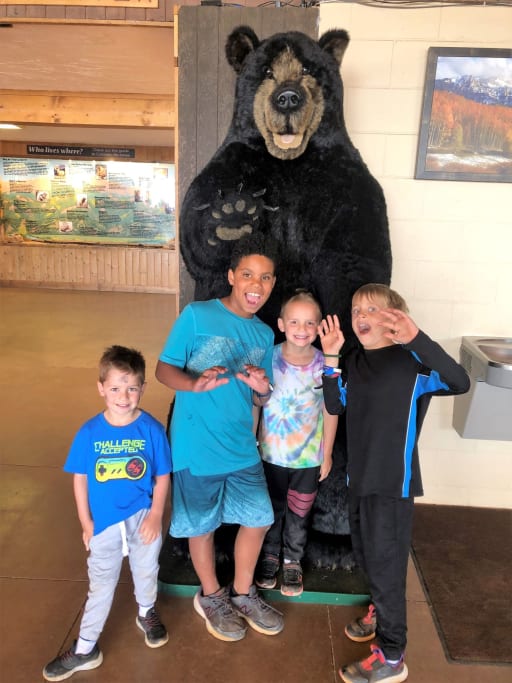 wildcat elementary base