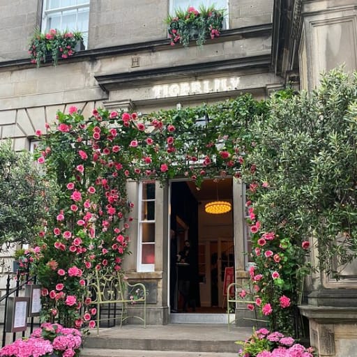 Tiger Lily George Street Edinburgh Tigerlily, Edinburgh Review | The