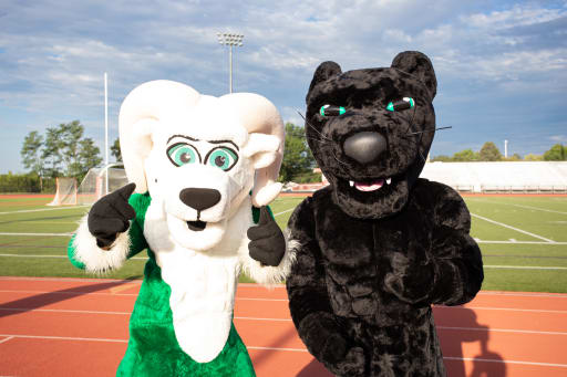 middle school mascots