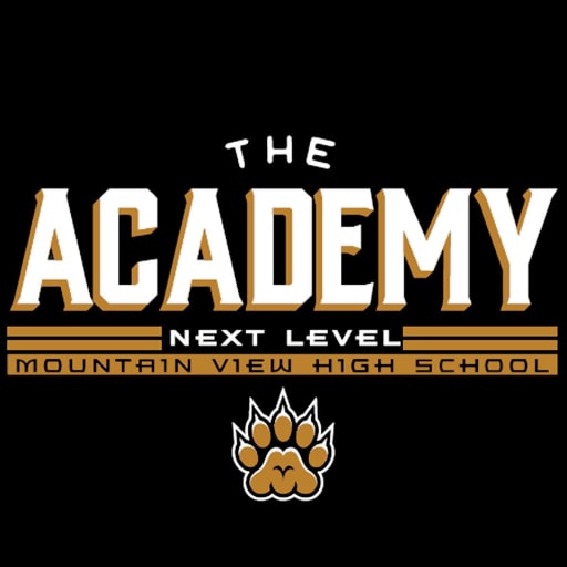 mount view academy