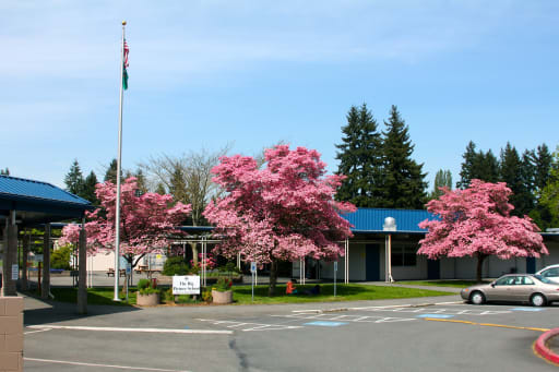 school bellevue