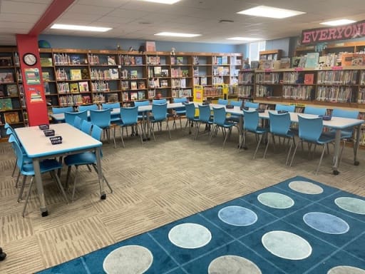 cool elementary libraries