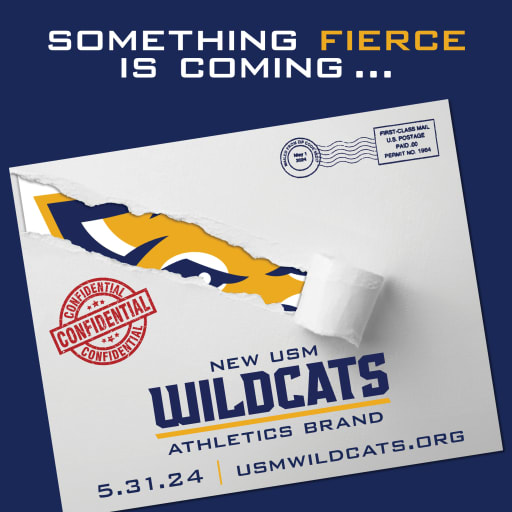 New Usm Logo