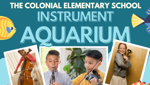 Elementary School Orchestra