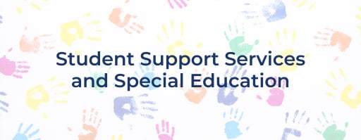 special support service