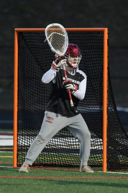 august trees lacrosse